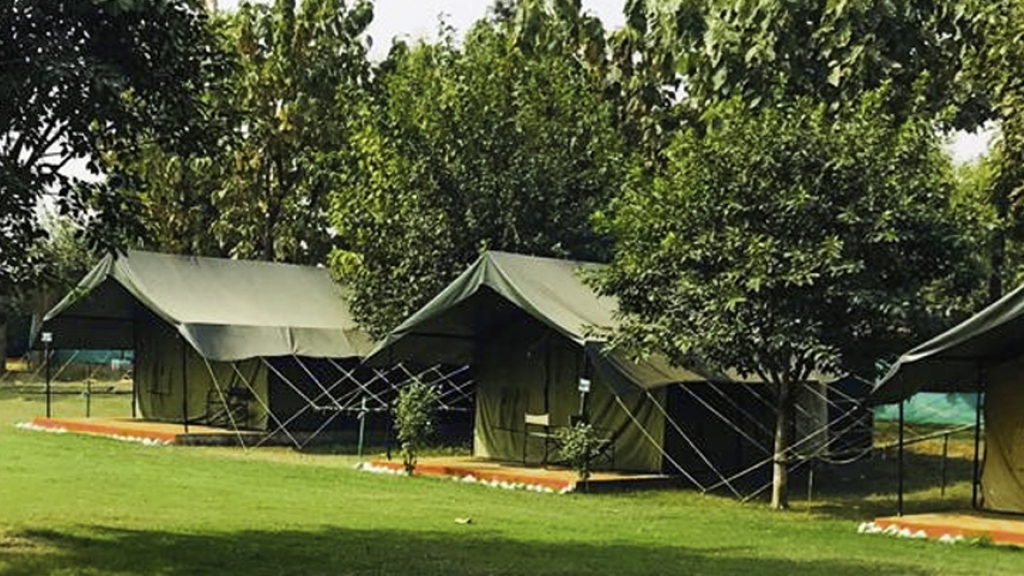 Lush Green View: Nature meets Adventure – Eduworld Adventures